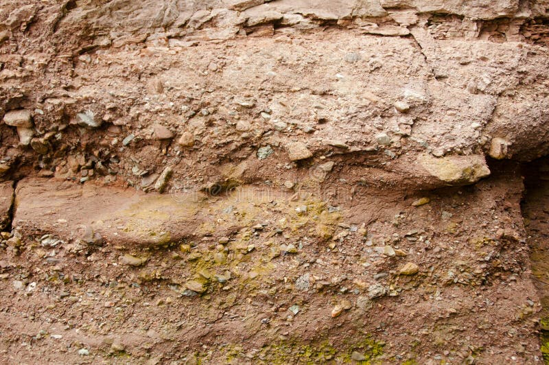 Struttura Del Primo Piano Della Roccia Del Conglomerato Fotografia ...