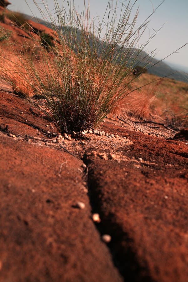Roccia dell'arenaria fotografia stock. Immagine di duro - 28770190