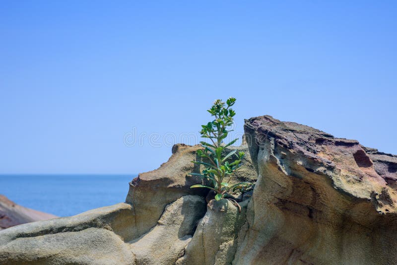 Roccia Dell'arenaria Contro Cielo Blu Immagine Stock - Immagine di ...