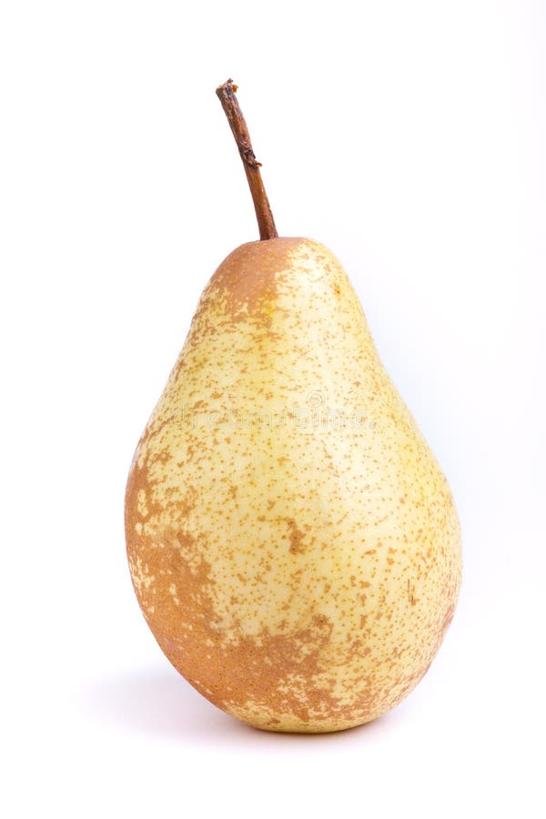 Rocha Pear stock image. Image of seedless, juicy, healthy - 11819055