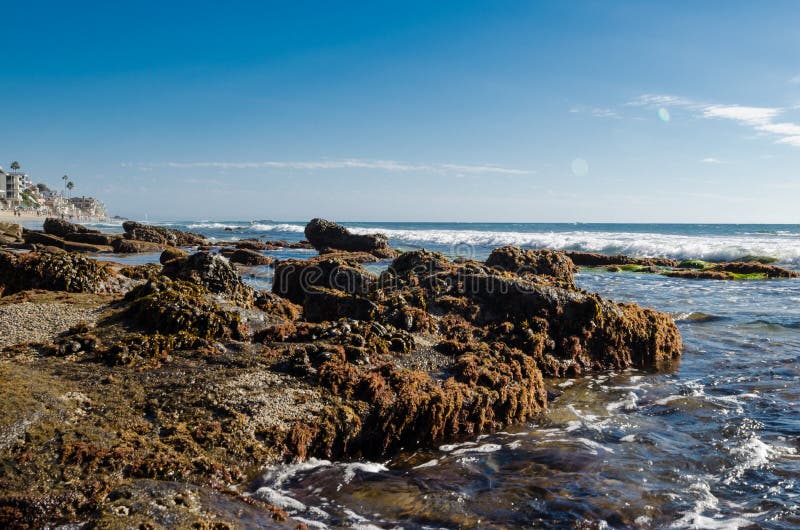 Rochas Com Os Bichos Do Mar Na Praia Imagem de Stock - Imagem de olhar ...