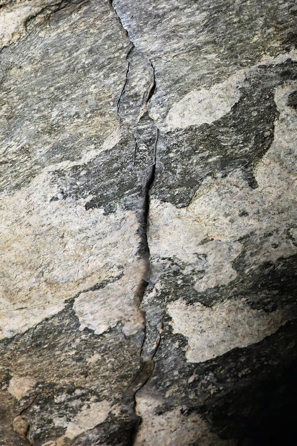 Roche Migmatite Grise Et Blanche Photo stock - Image du orientation ...