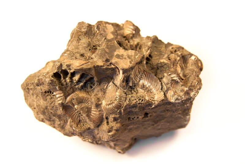 Roche plutonique image stock. Image of igné, roche, minerai - 22156417