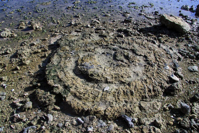 Grande roche ronde photo stock. Image du gorge, roche - 63425366