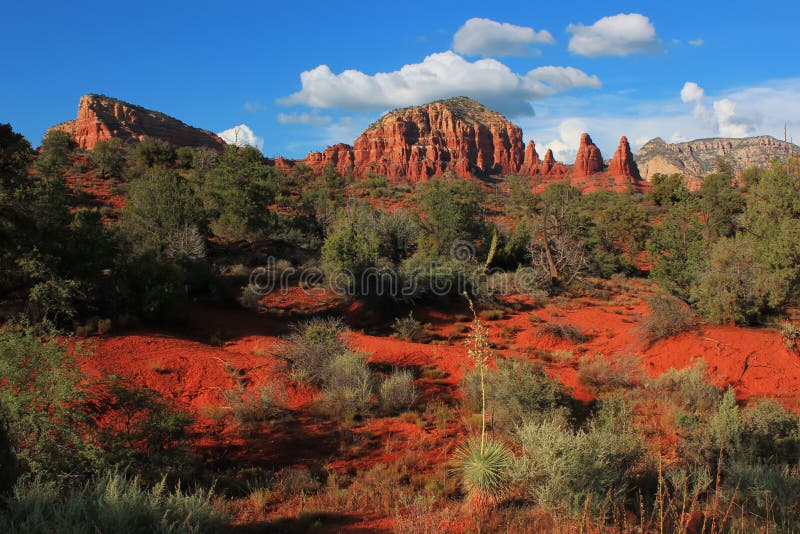 Roches Rouges, Arizona, Etats-Unis Image stock - Image du cactus, bleu ...