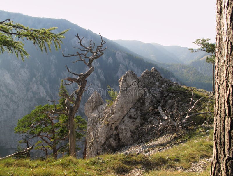 Rock Above Hollental Gorge in Rax Alps Stock Photo - Image of tree ...
