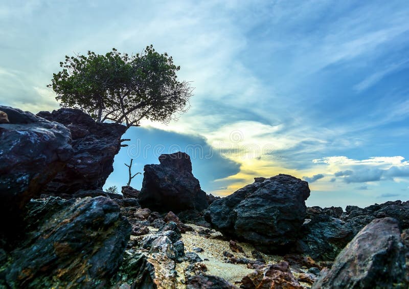 The Rock and Lonely Tree Bangka Island Indonesia Stock Image - Image of ...