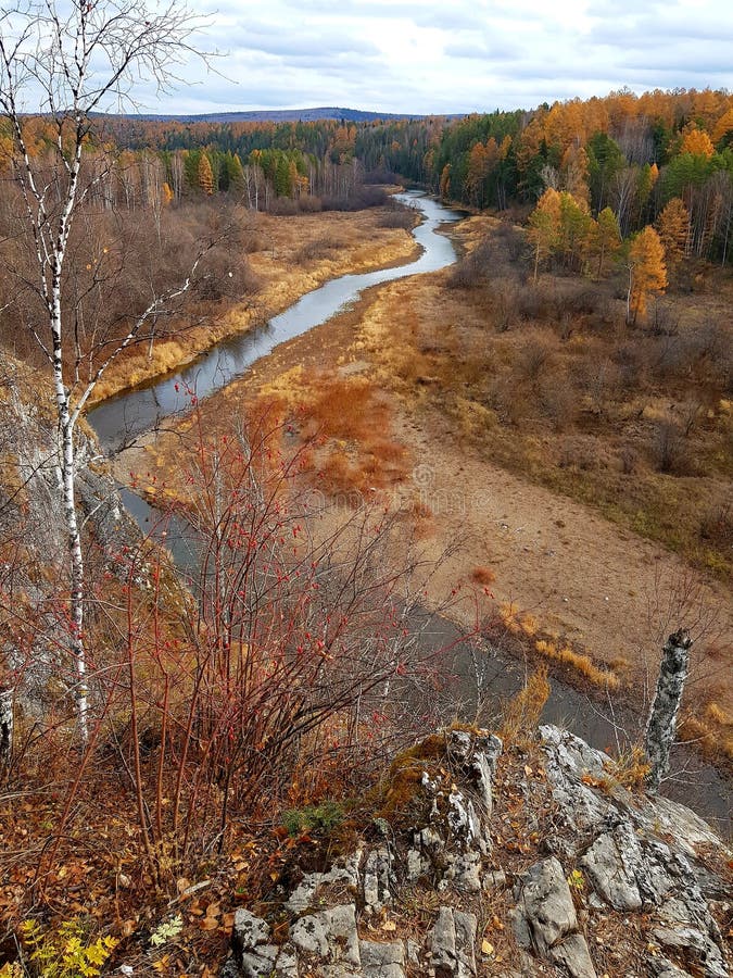 Rock on the river bank stock image. Image of leaves - 240460119