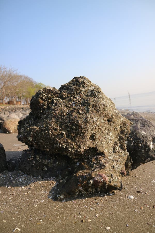 Rock at beach stock image. Image of particles, beach - 169048087