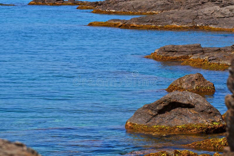 Beach and ledge stock photo. Image of landscape, algae - 27734060