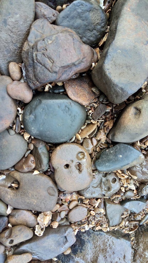 Rock beach stock image. Image of stone, sediment, rock - 132995469