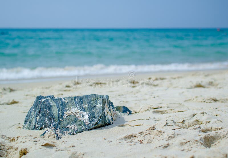 Rock on the beach. stock photo. Image of stone, season - 103575832