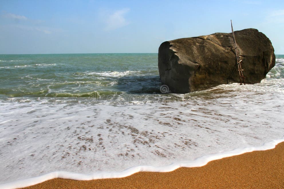 Rock in beach surf stock photo. Image of coast, leisure - 49938726