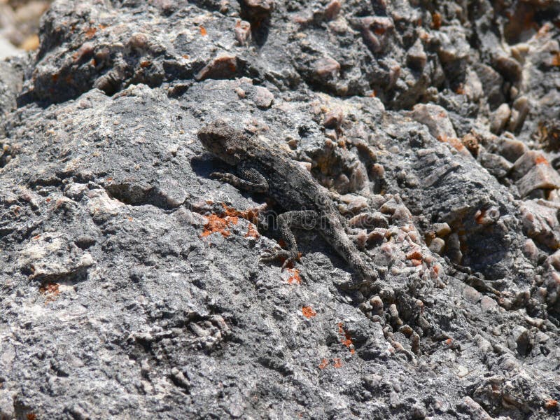 151 Beautiful Secondary Rock Stock Photos - Free & Royalty-Free Stock ...