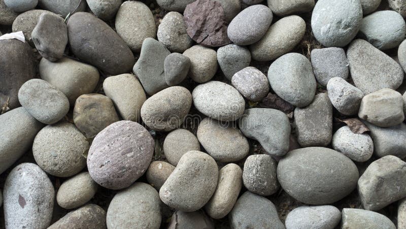Rock Bed or Rounded Smooth Stones Stock Image - Image of nature, walk ...