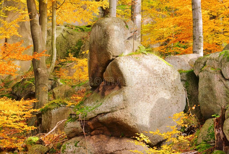 Rock in beech forest stock photo. Image of hiking, krkonose - 22688770