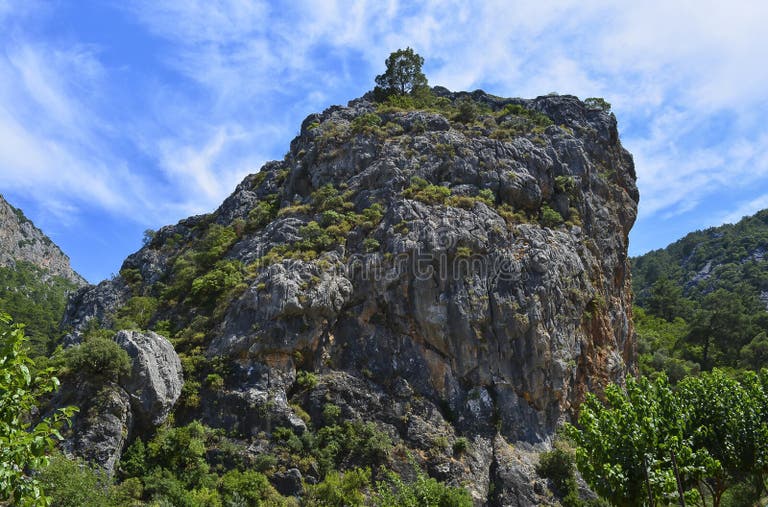 Turkey Ray Cartoon Stock Photos - Free & Royalty-Free Stock Photos from ...