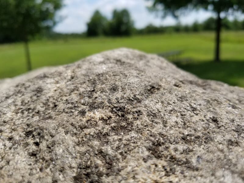 The Rock Blurry on the Park2 Stock Photo - Image of agriculture, flower ...