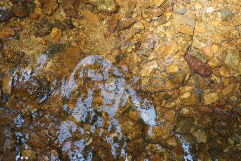 Rock on the Bottom of River the Rocks at the Bottom of the River Look ...