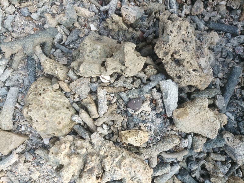 Rock Bottom on the Sea of Sumatera Stock Photo - Image of rock, bottom ...