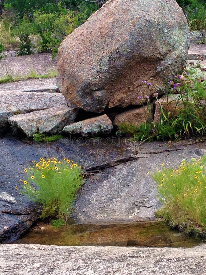 Rock, Boulder, Vegetation, Bedrock Stock Image - Image of watercourse ...