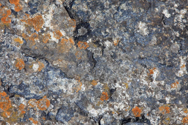 Stone texture stock image. Image of architecture, mineral - 711027