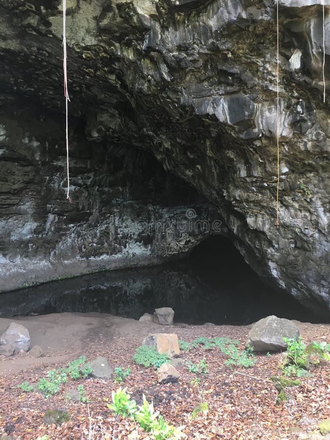 Rock cave stock photo. Image of cave, rock, vine, nature - 96216090