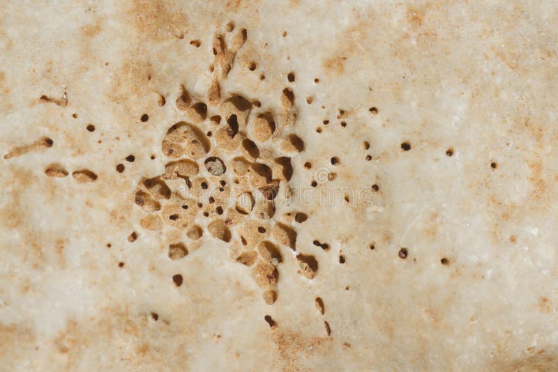 Rock cavity stock image. Image of nature, geology, pierced - 20516547