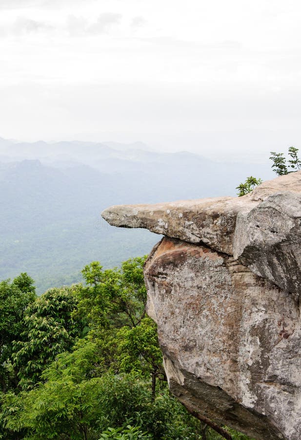 Rock cliff stock photo. Image of beauty, leaves, park - 25720658