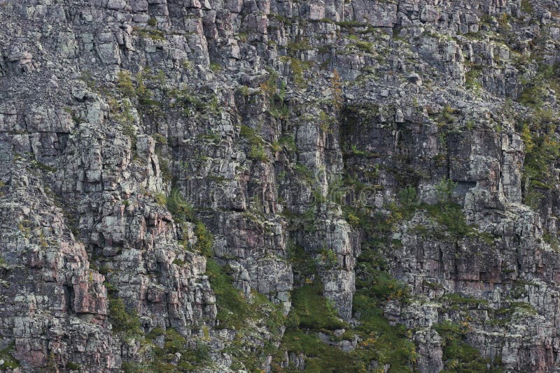Rock Cliff stock photo. Image of plant, northern, climbing - 46549746
