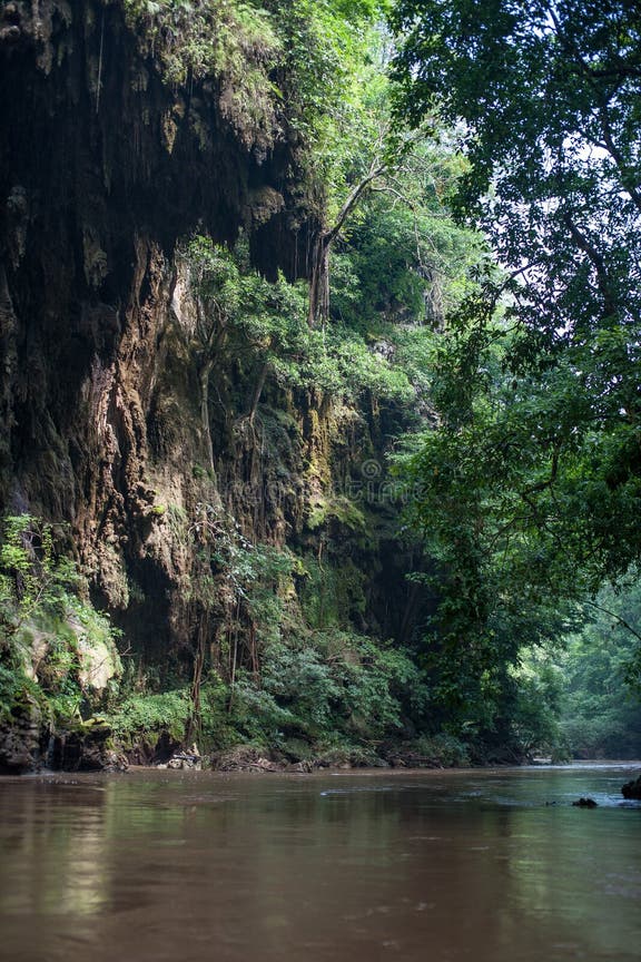 Rock cliff in the jungle stock photo. Image of branch - 51614554