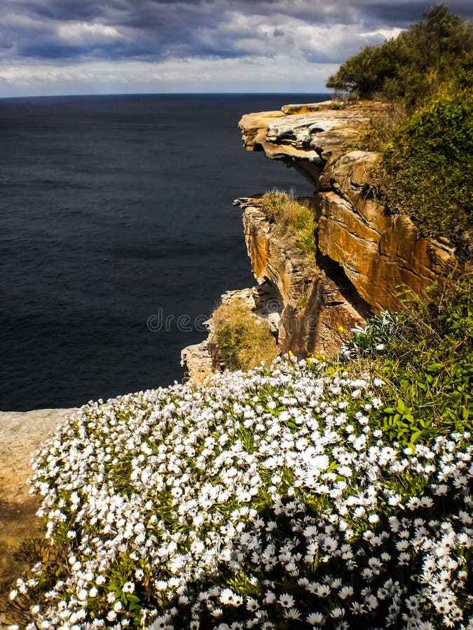 Rock cliff beside the sea stock photo. Image of beach - 30097418