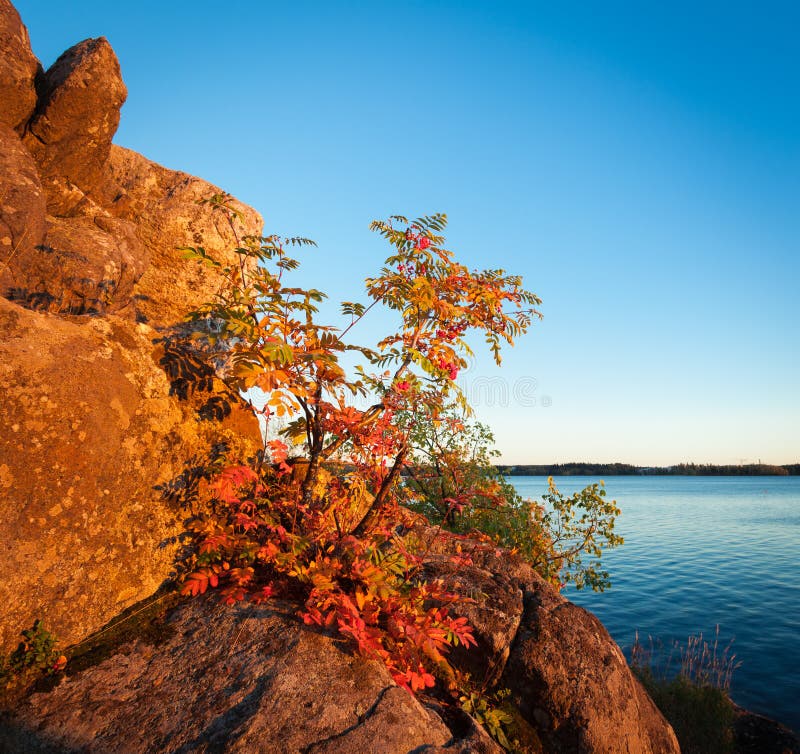 Rock cliff in sunset light stock image. Image of stone - 145215069