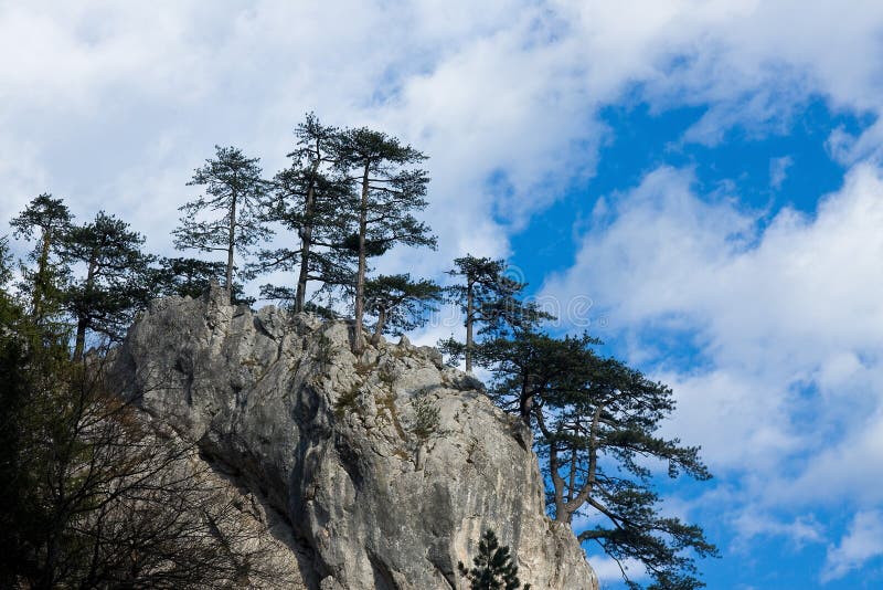 Rock Cliff Trees Picture. Image: 4527108