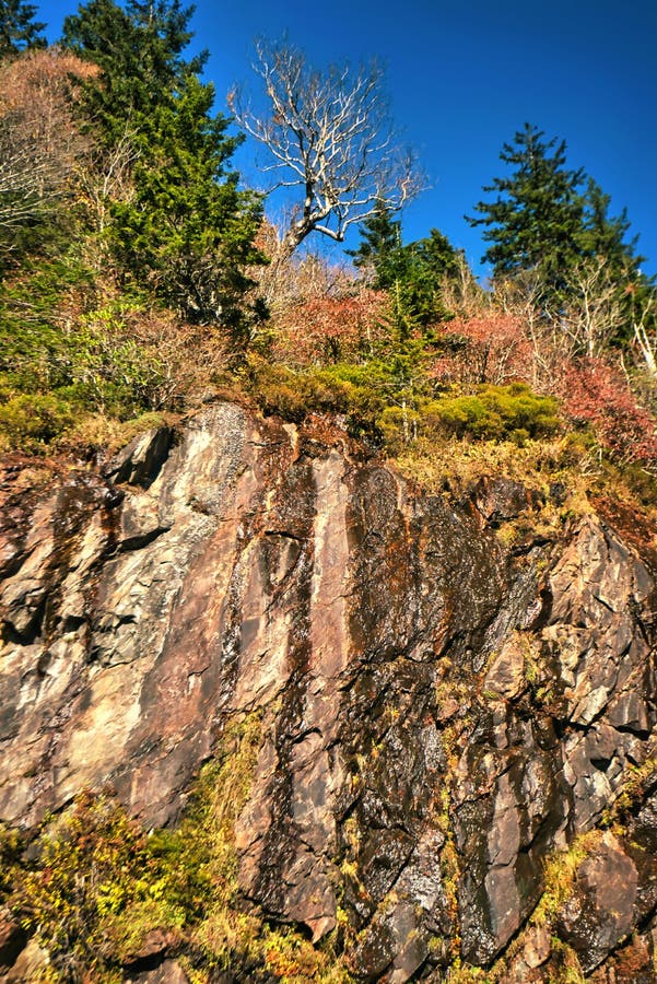 A Rock Cliff and Trees in the Fall in the North Carolina Mountains ...