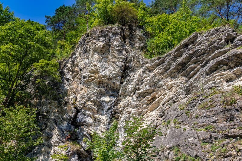 Rock Covered with Green Vegetation Stock Photo - Image of covered ...
