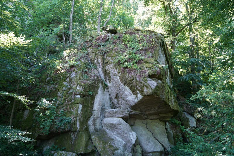 Rock Covered with Moss and Plants in the Forest Stock Image - Image of ...