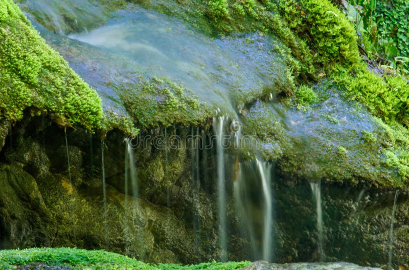 A Rock Covered in Moss and Water Dripping from it Stock Photo - Image ...