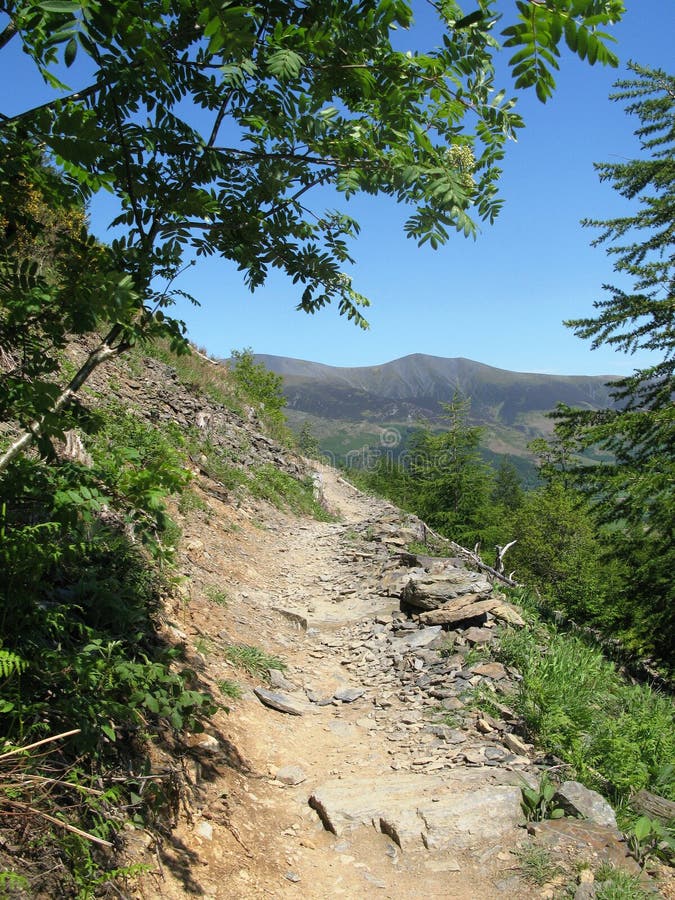 A Rock Covered Path or Trail on the Side of a Mountain Stock Photo ...