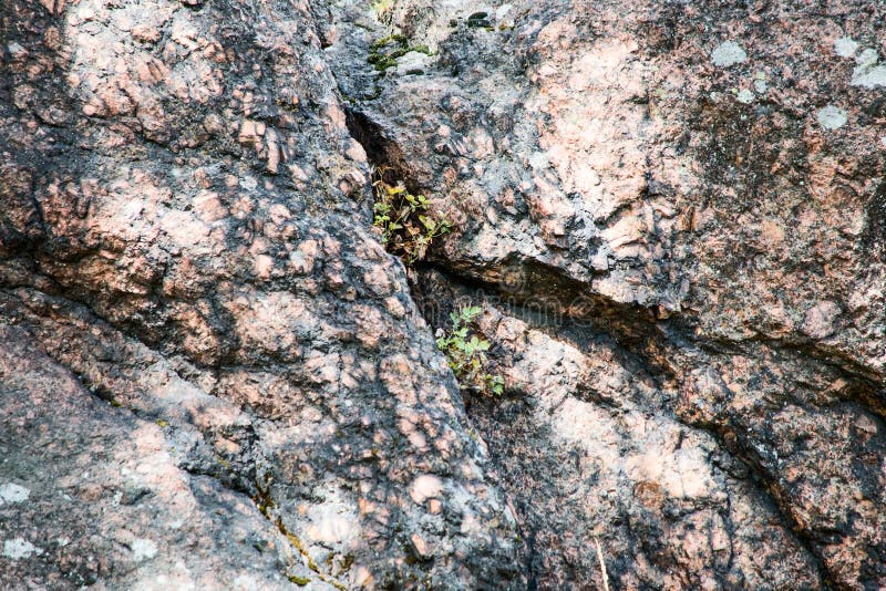 Rock with a crack is close stock image. Image of surface - 123682355