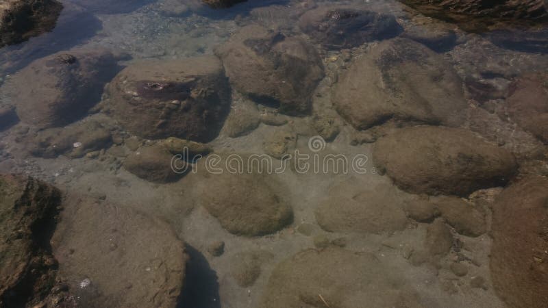 Sea Creature Under the Balcony Stock Image - Image of boys, black ...