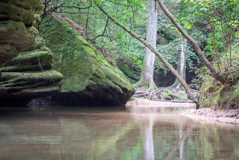 Rock by Creek stock photo. Image of dirt, macro, beautiful - 137265882