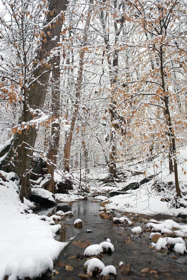 Creek in Winter, Ohio stock image. Image of horizontal - 7182721