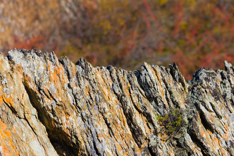 Rock crest stock photo. Image of yellow, mountains, leaves - 20767612