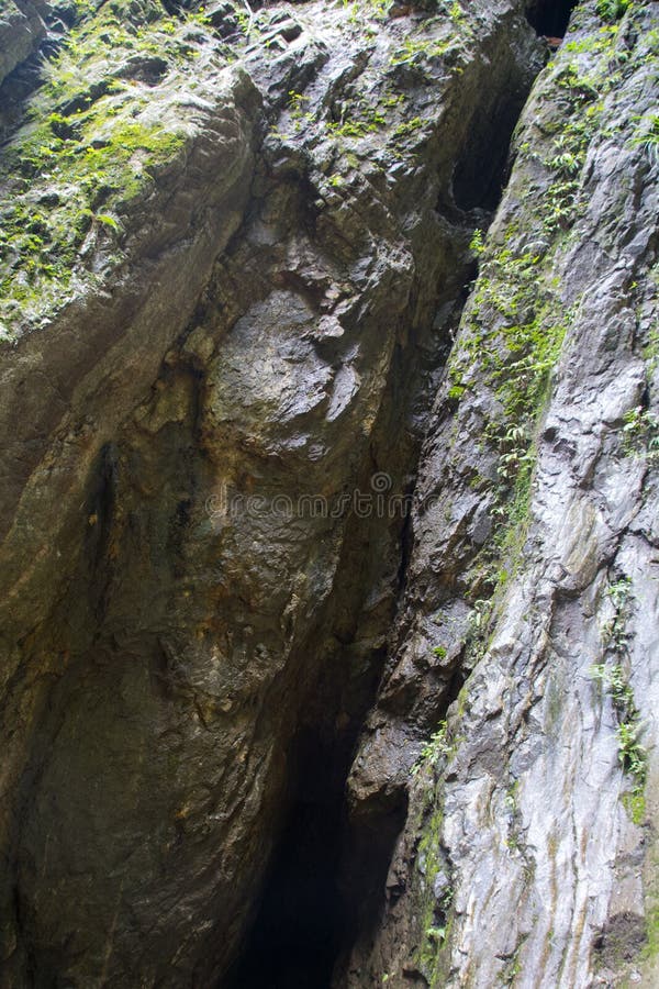 Rock crevice stock image. Image of texture, rock, plants - 78495509