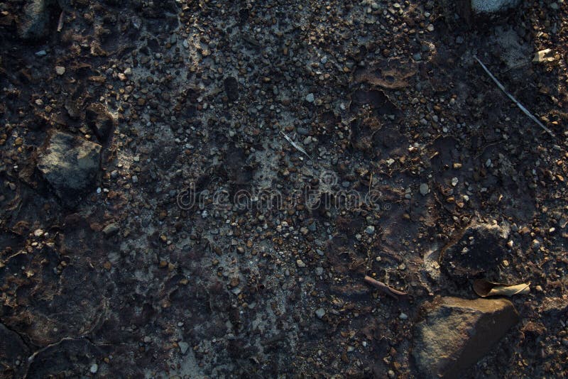 Rock crevice on the ground stock photo. Image of structure - 83428828