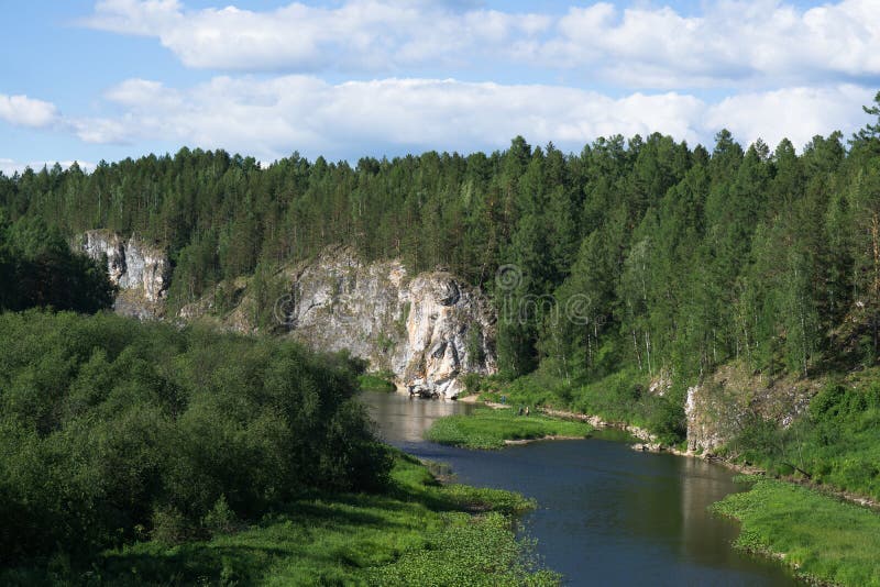 Rock among the Dense Forest Stock Photo - Image of summer, green: 73649644