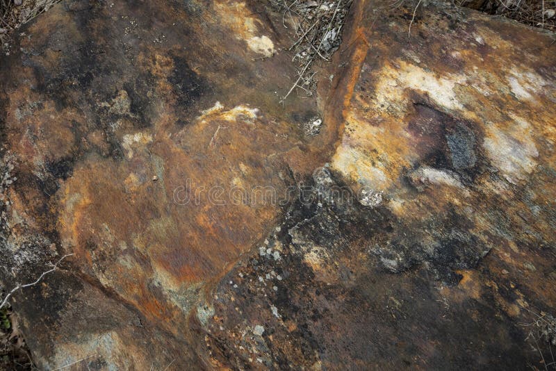 Rock Detail stock photo. Image of colors, geology, maine - 181432424