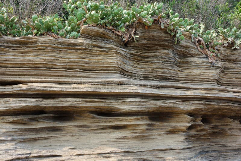 Rock details stock image. Image of sand, stone, bind - 53600171