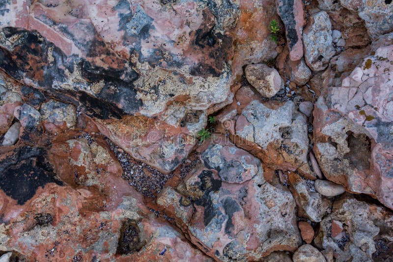 Rock Details. Black Sea Coast Stock Photo - Image of details ...